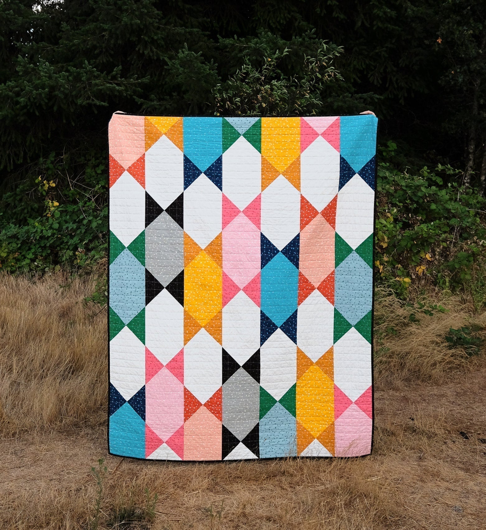 Pattern of the Week - The Abigail Quilt – Kitchen Table Quilting
